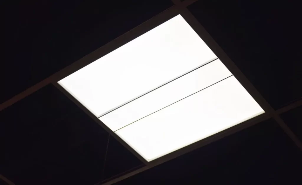 FlipBooks – Vivid Forms