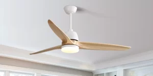 Vivid Forms – Lighting By Design